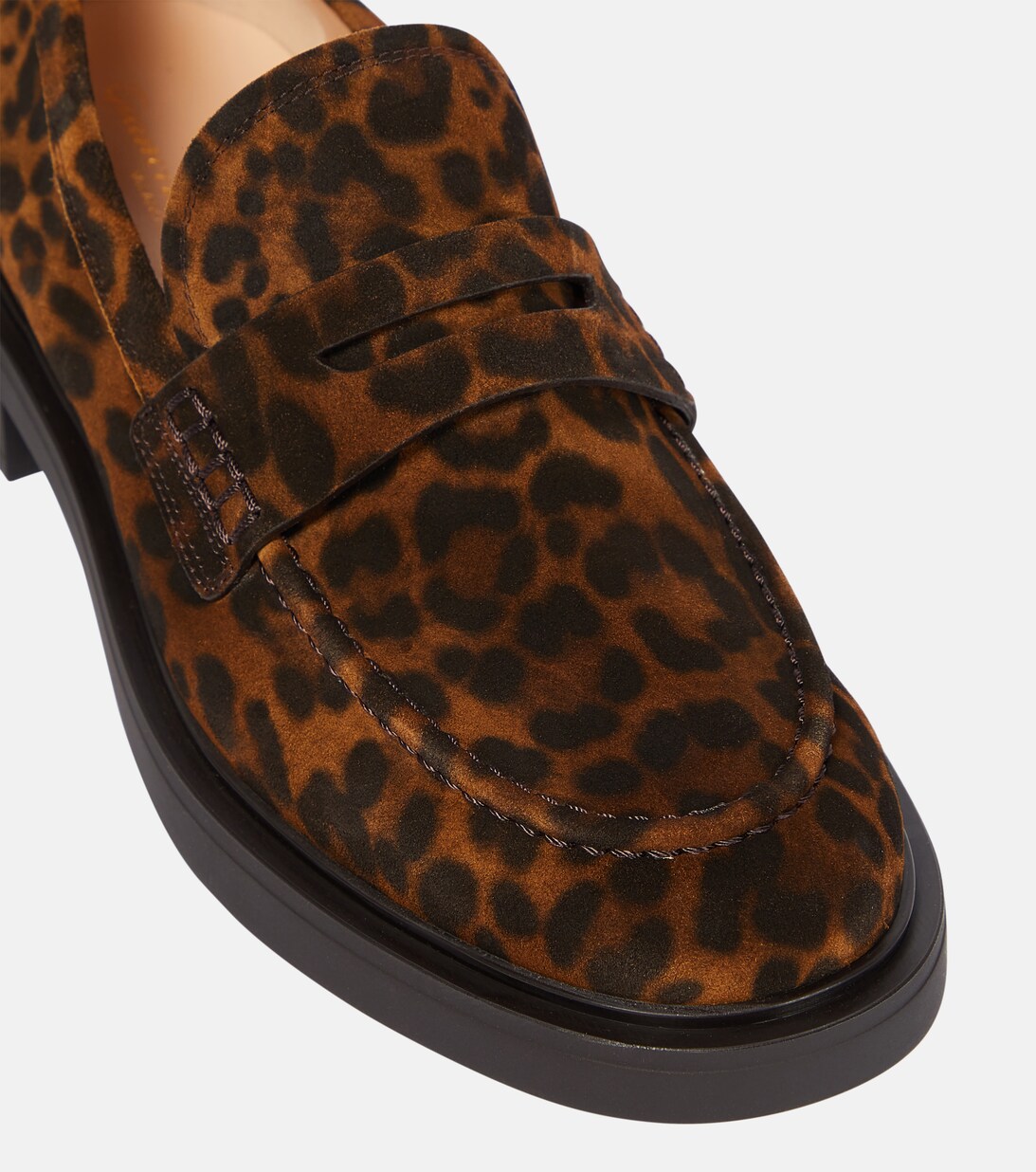Harris Leopard Print Suede Loafers in Brown - Gianvito Rossi | Mytheresa