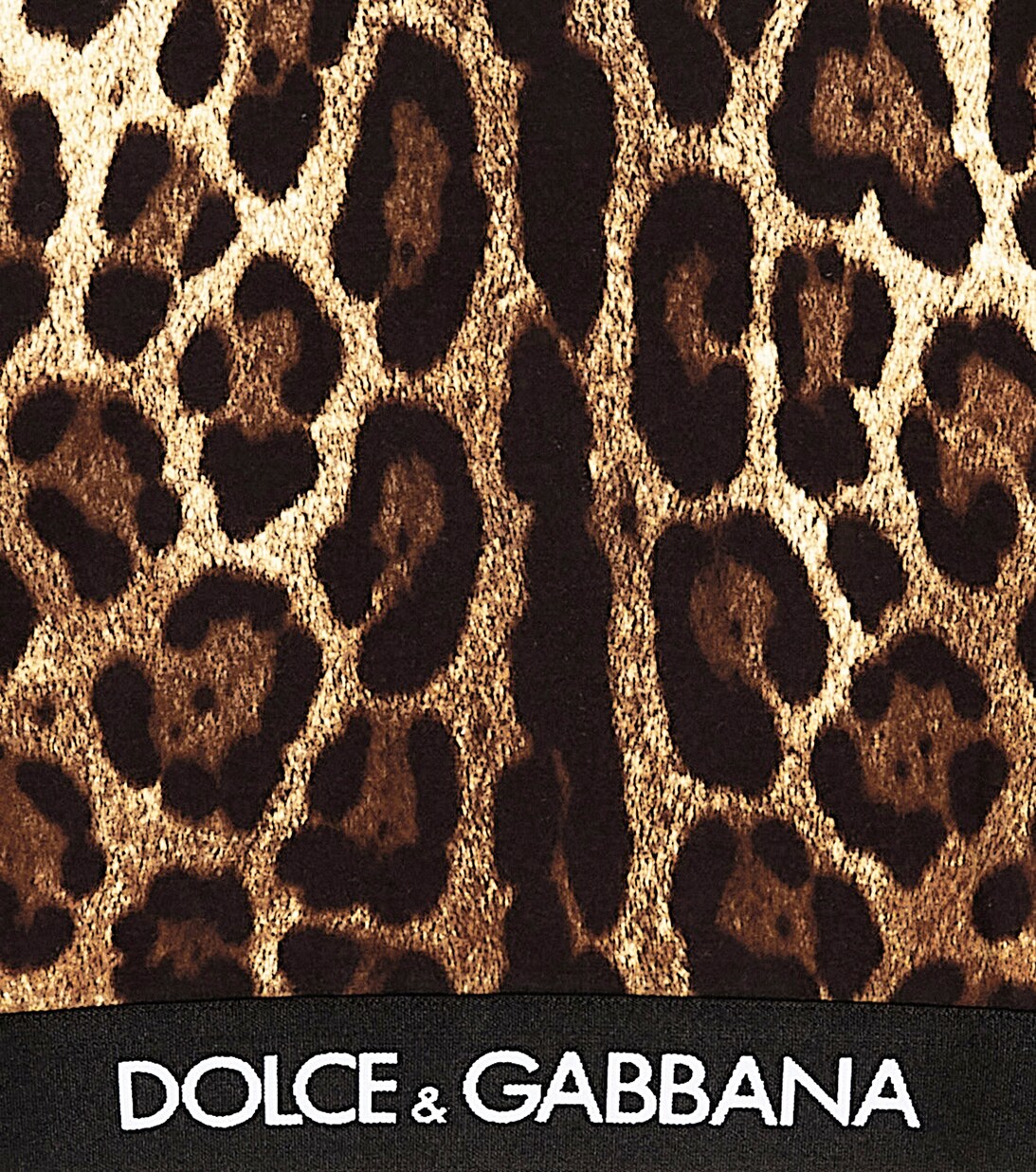 Dolce And Gabbana Cheetah Wallpaper